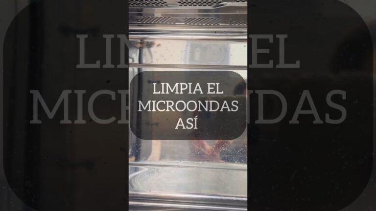 Guía para el Cuidado y Limpieza del Interior del Microondas ...